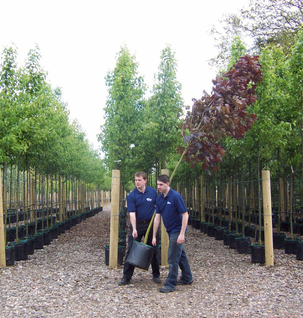 Our Customers - Hillier Trees
