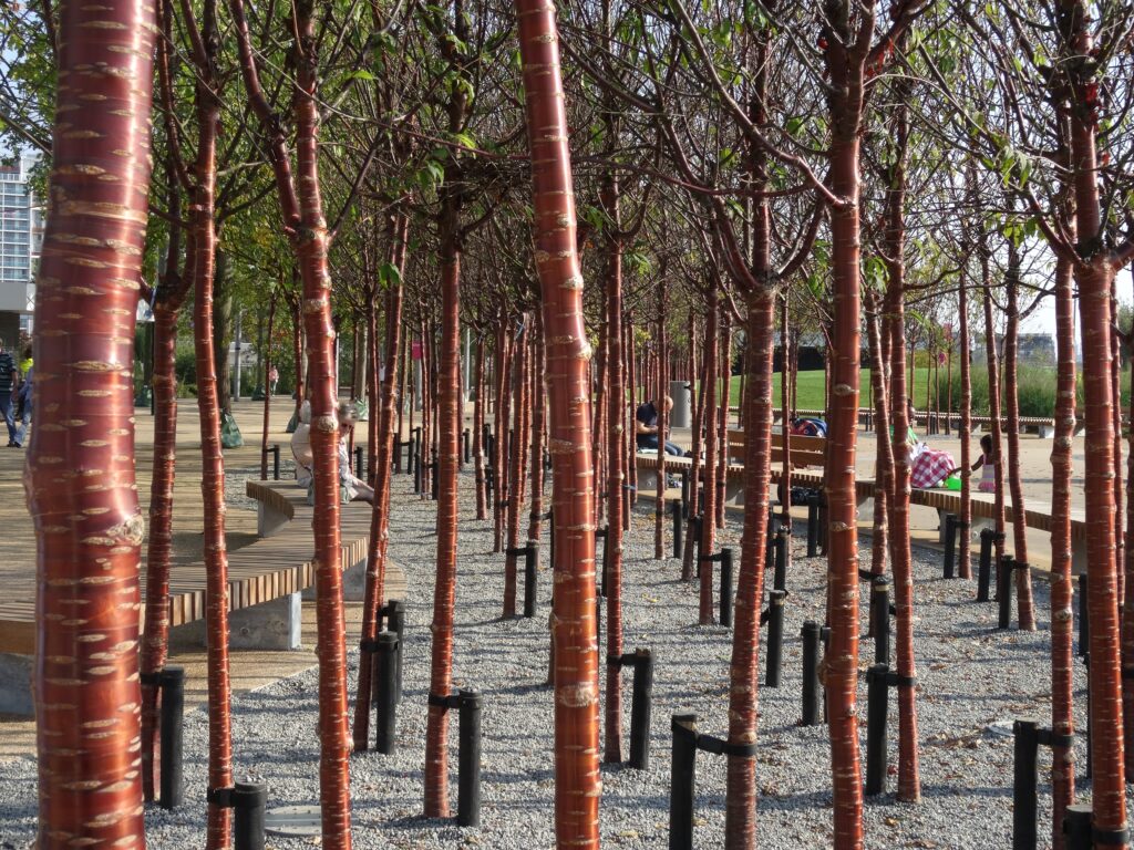 Designing with Feature Trees - Hillier Trees