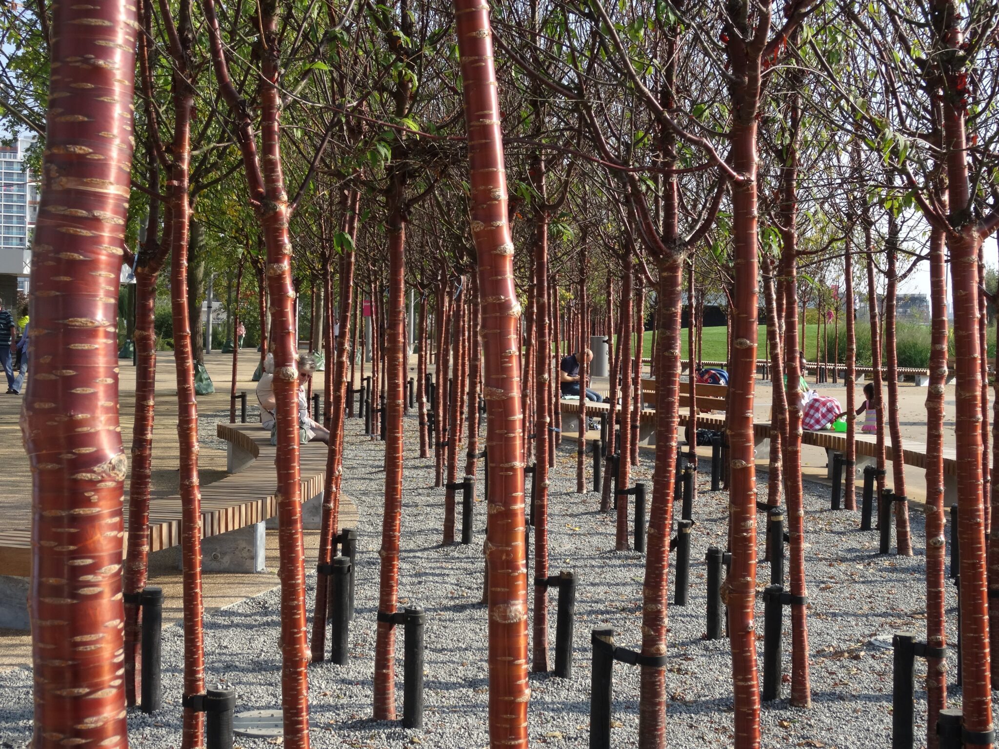 Designing with Feature Trees - Hillier Trees