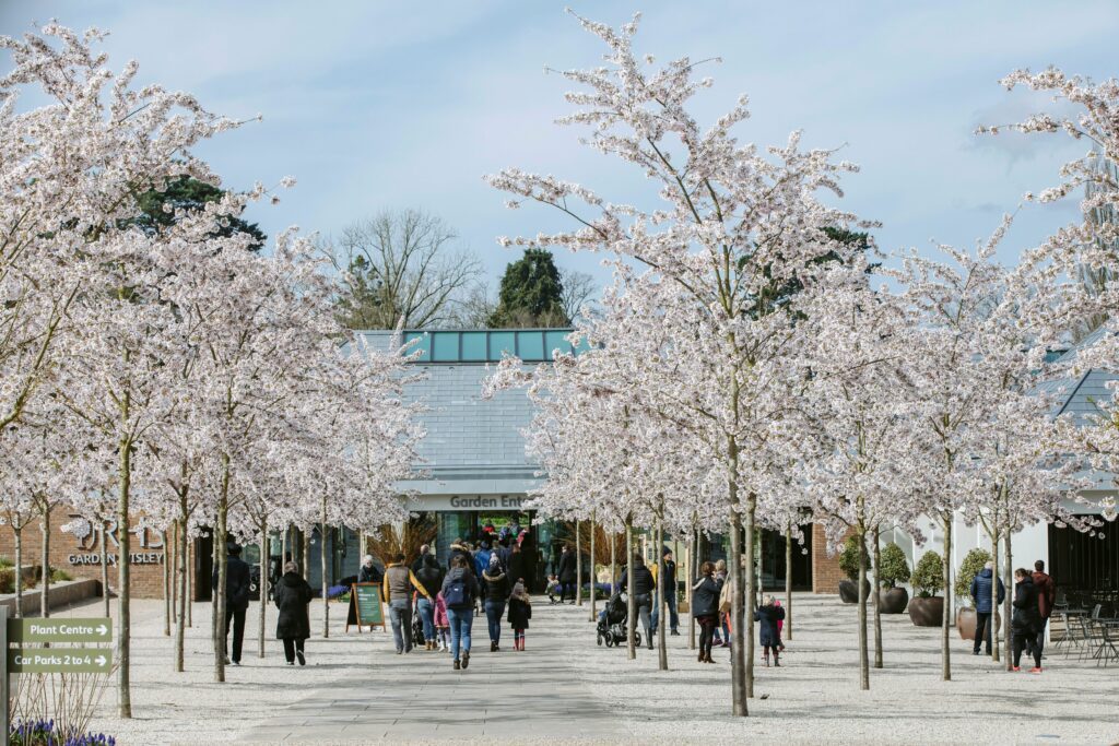 Best Trees for Making an Entrance - Hillier Trees