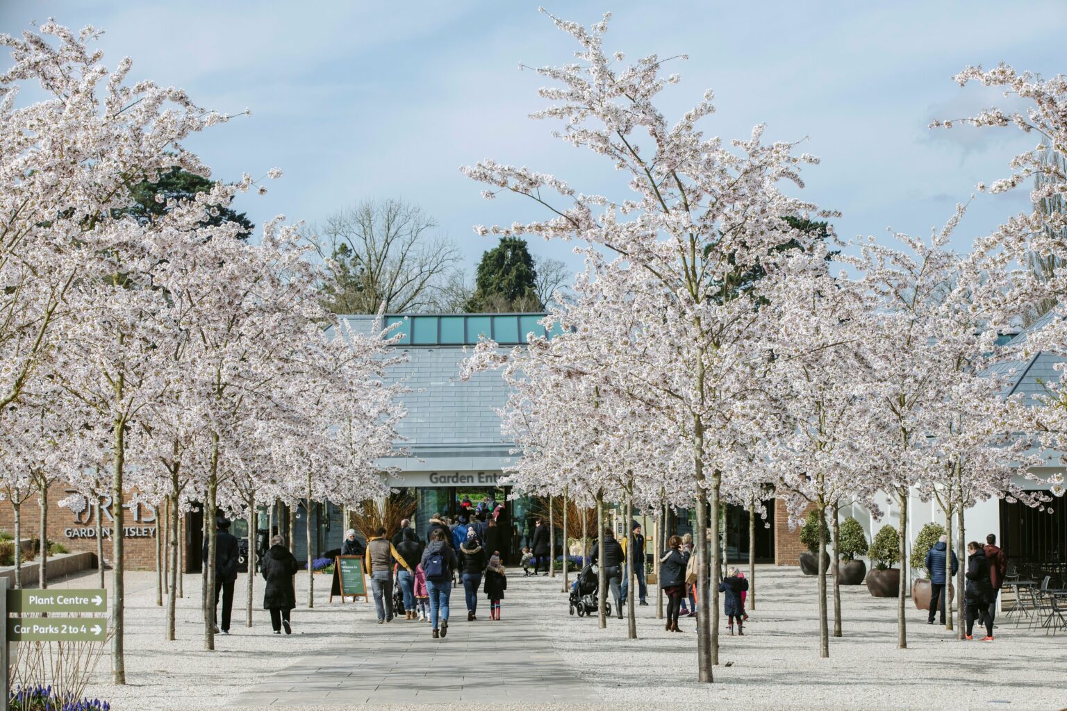 About Us - Hillier Trees