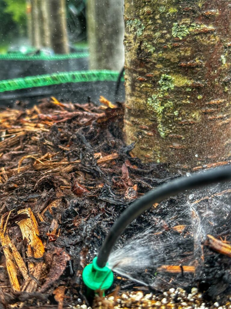 Reservoir and Irrigation - Hillier Trees