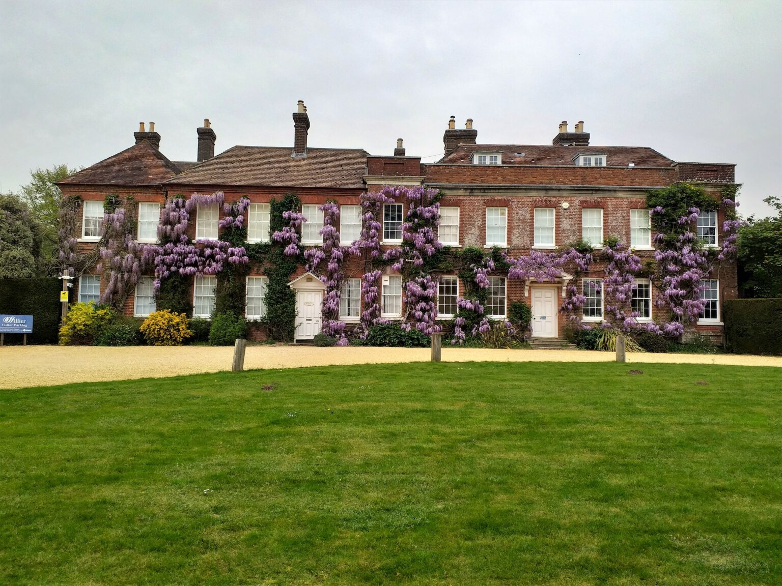 Hillier Trees Gallery - Hillier Trees