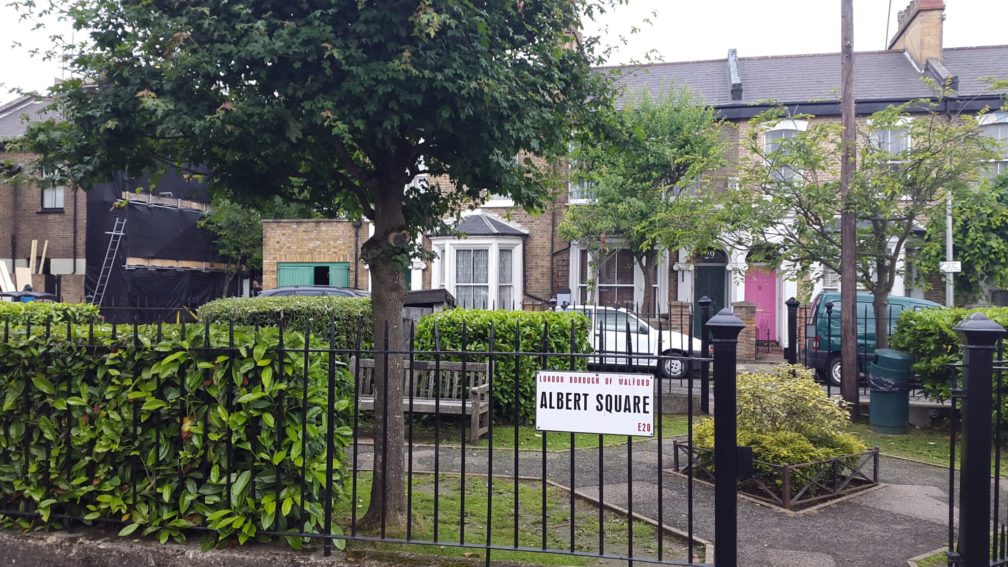 Hillier Trees Gallery - Hillier Trees