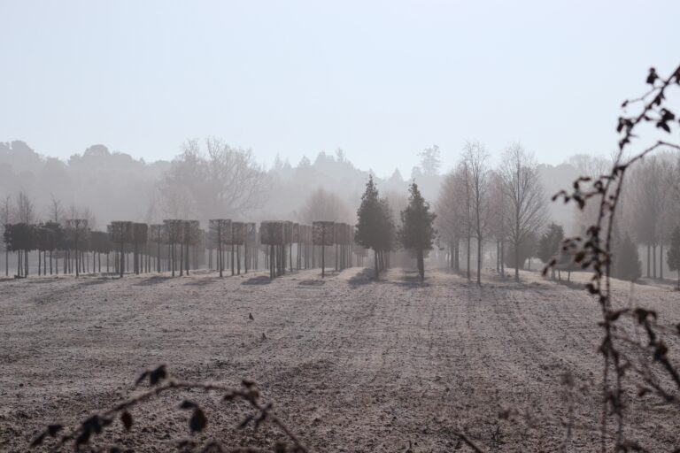 Our Tree Nurseries - Hillier Trees