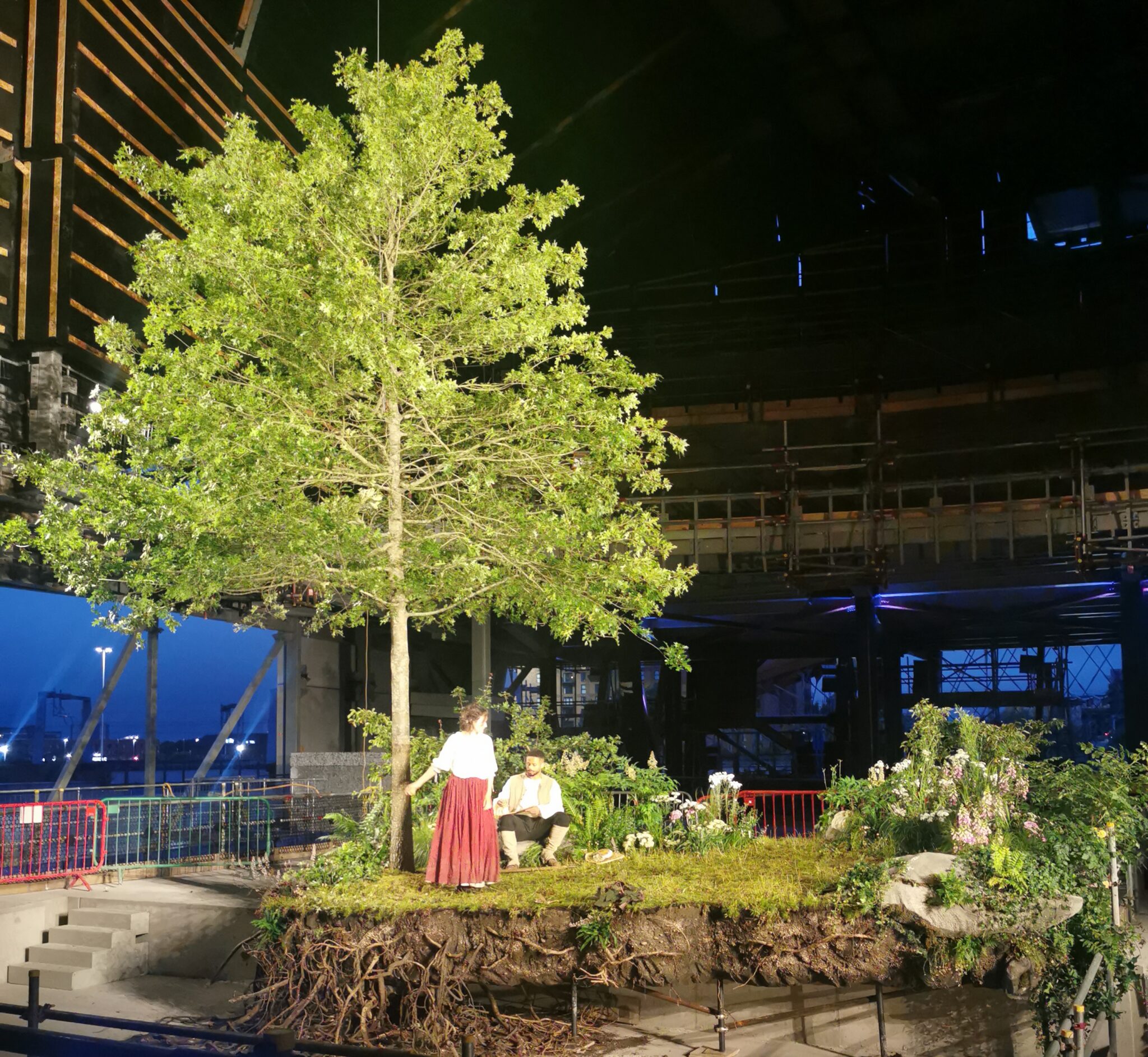 Hillier Trees Gallery - Hillier Trees